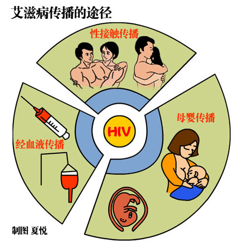 性接触依然盘踞艾滋病传播途径首位图 搜狐it
