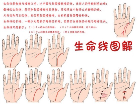 手相解析解析奇手相第7页大山谷图库